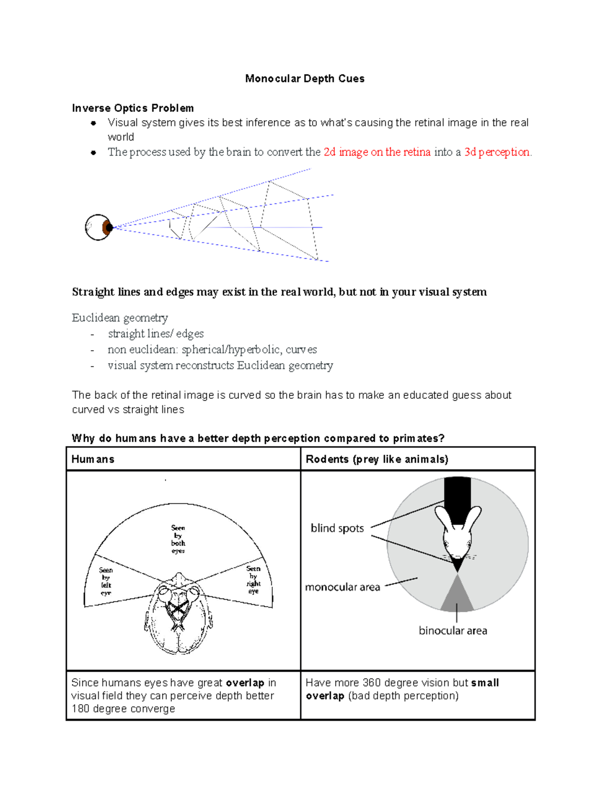 Perception Test #2 Study Guide - Monocular Depth Cues Inverse Optics ...