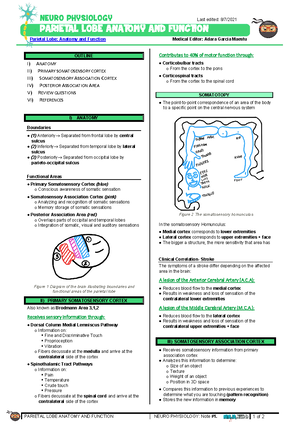 Thalamus Anatomy & Function atf - THALAMUS ANATOMY AND FUNCTION NEURO ...