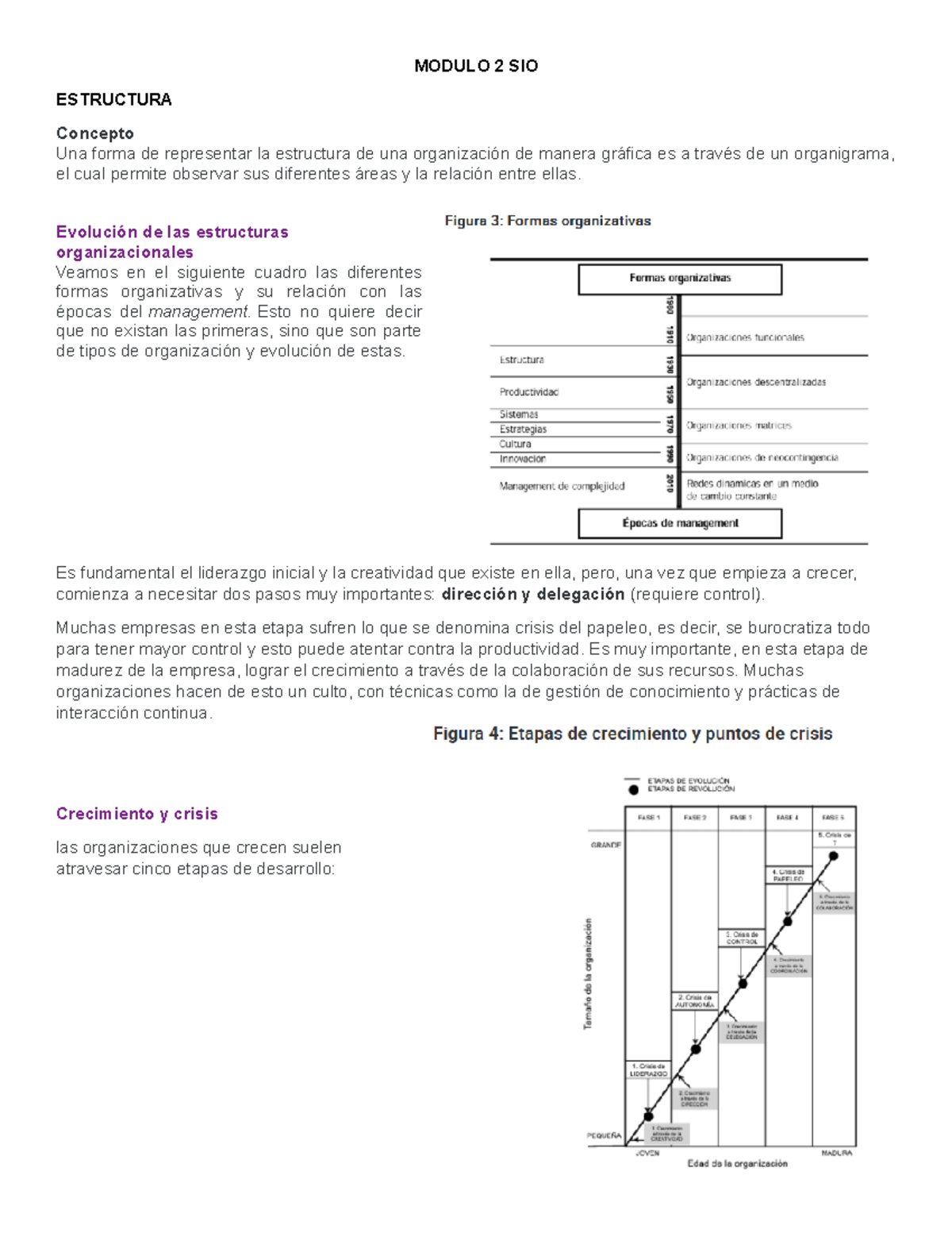 Modulo 2 SIO - Sistemas de Información Organizacionales - Siglo 21 ...