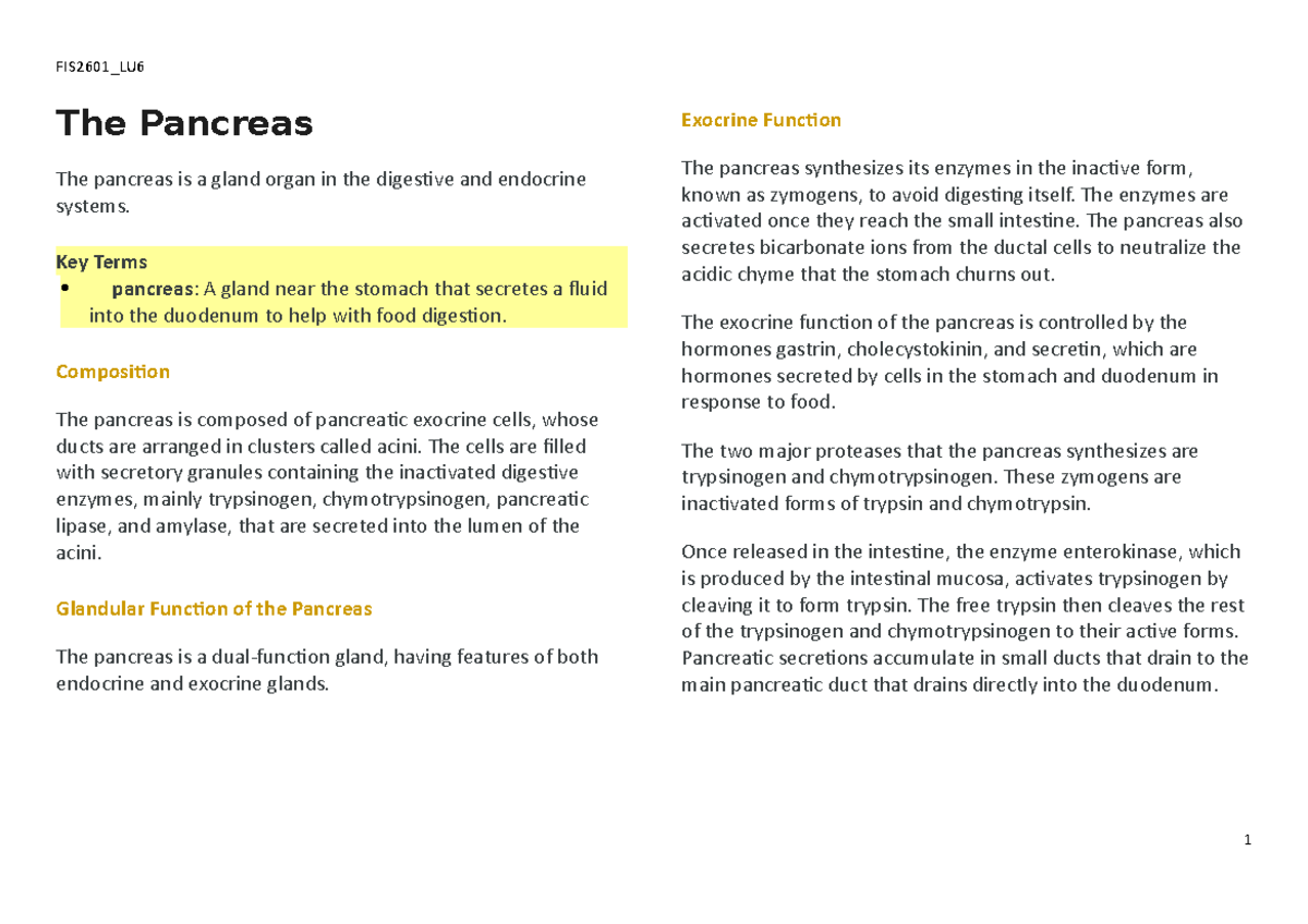 Learning unit 6: The pancreas and liver - The Pancreas The pancreas is ...