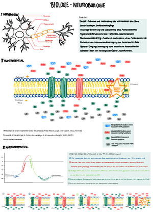 Bio Lernzettel - Übersicht Operatoren Biologie Operator Definition ...