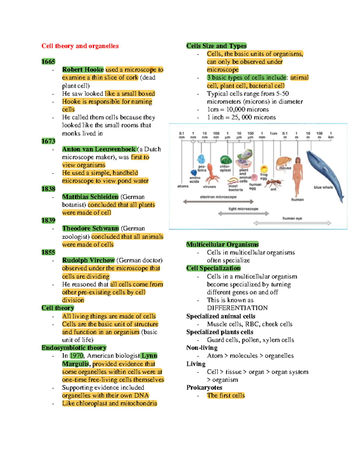 Physio reviewer - its all about cell theory and the different ...