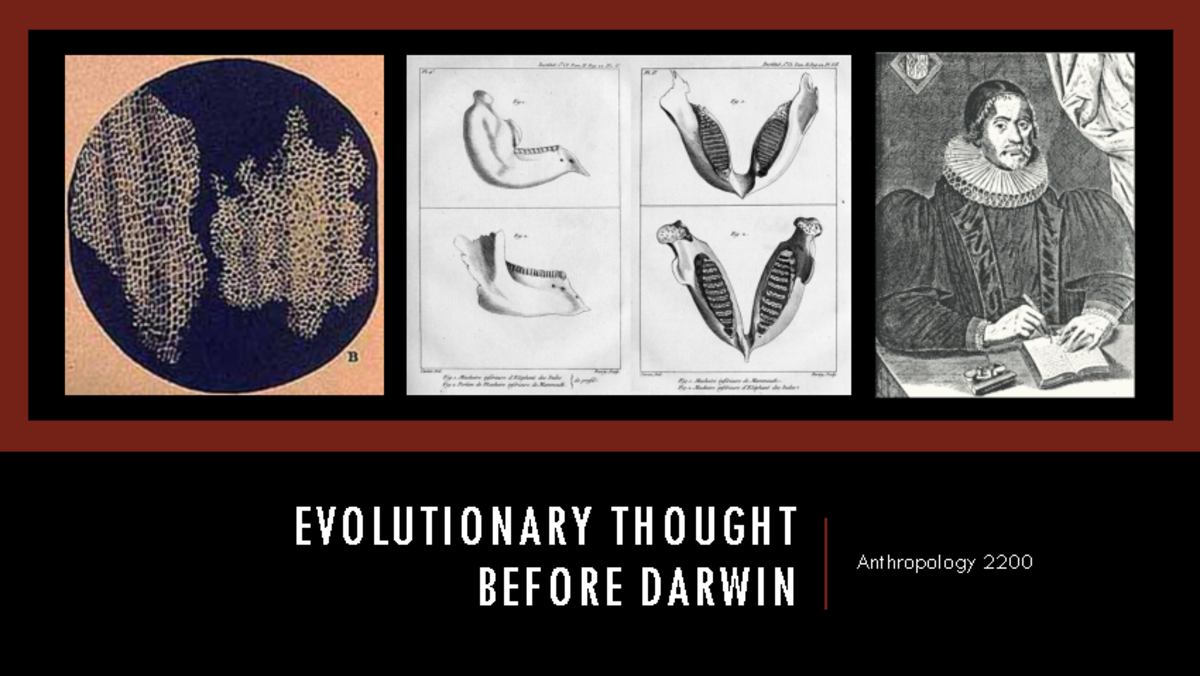 4 Evolutionary Thought Before Darwin and Natural Selection ...