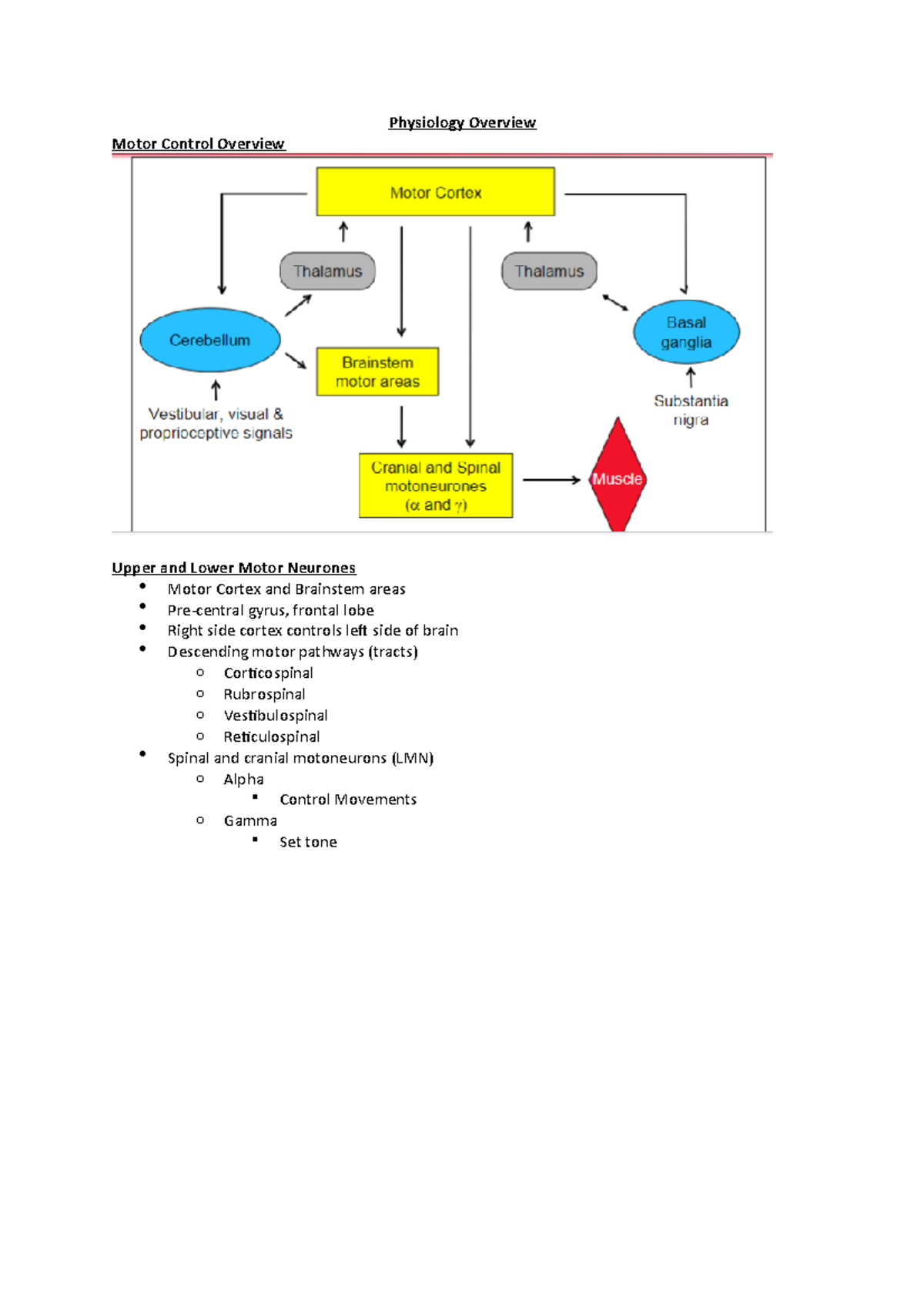 Physiology Overview - Physiology Overview Motor Control Overview Upper ...