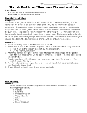 Math 133 Week 6 Activity Worksheet - Modeling with Piecewise Equations ...