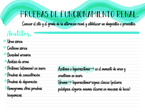 Muerte somatica - La muerte es el cese irreversible de funciones ...