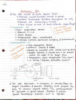CNS 2 - Central Nervous System Notes #2 - CNS 2 Signal Transduction ...
