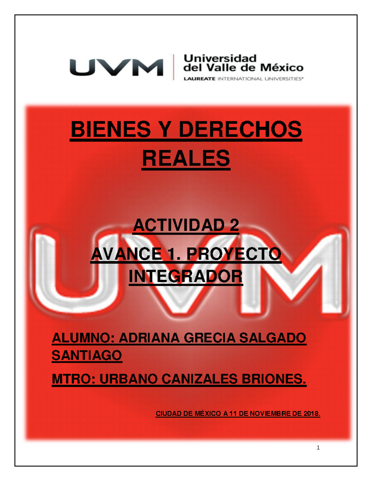 A2 Avance 1 Proyecto Integrador AGSS - BIENES Y DERECHOS REALES ACTIVIDAD 2 AVANCE 1. PROYECTO ...