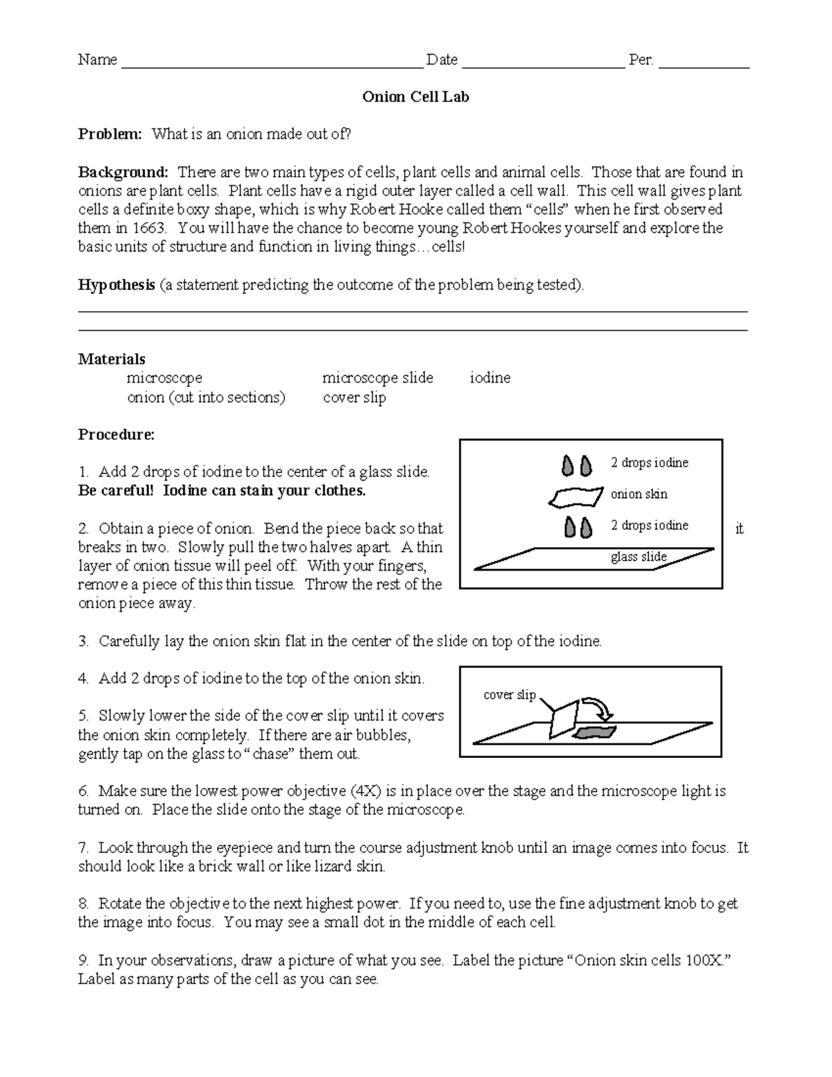 Onion Cell Observation Lab-1 - Name ...