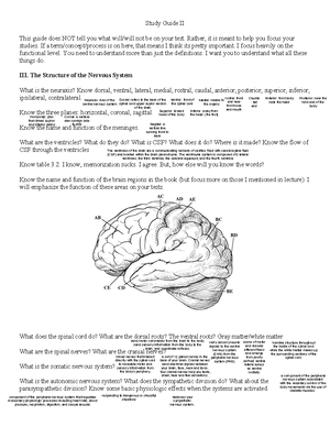 Psyc 3110 Lecture 16 cont - Google Docs - Lecture 16 Statistics Z-scores: Ranking based on Std ...