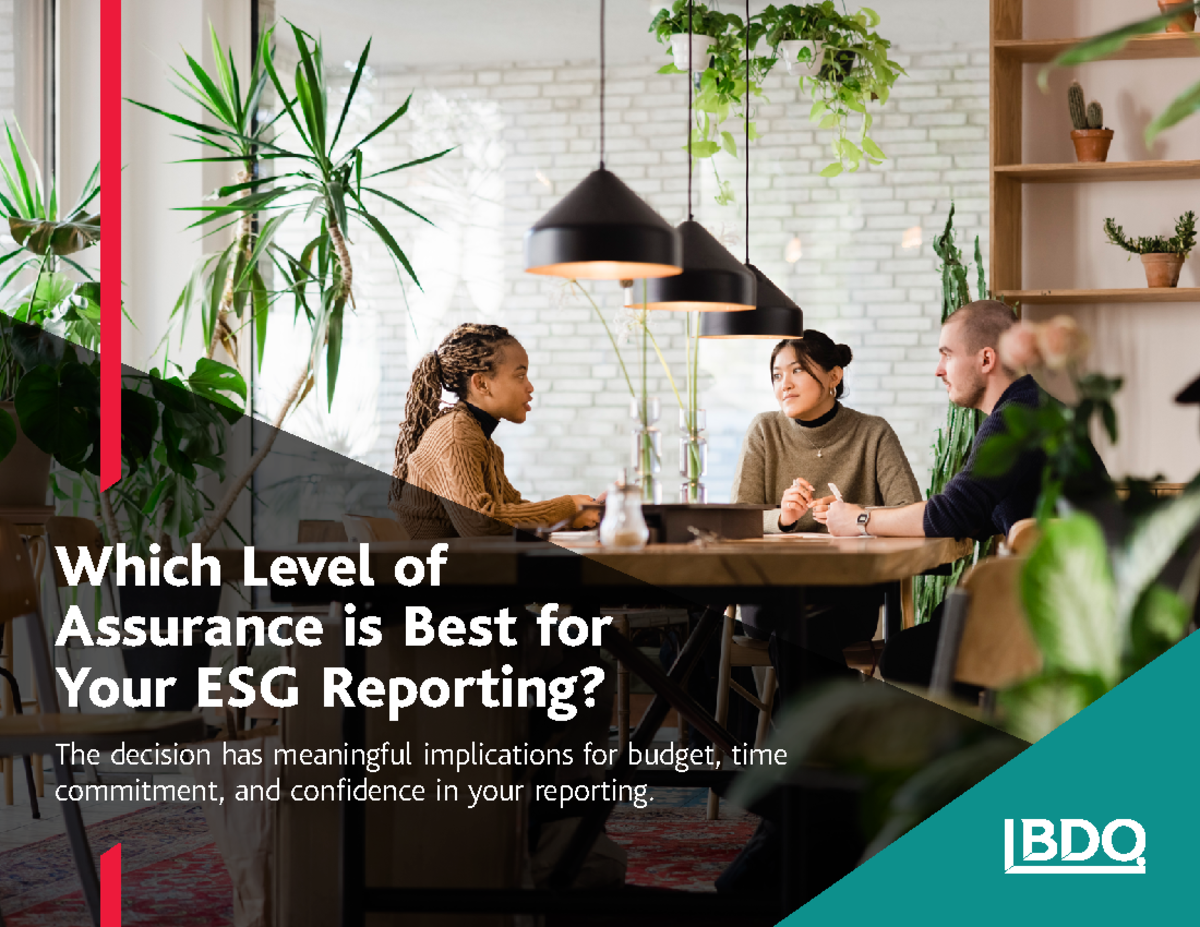 ESG Which Level of Assurance is Best for Your ESG Reporting Insight ...