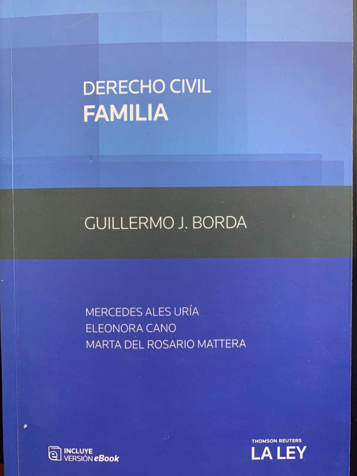 G1.Borda Introd Flia - Texto de Borda sobre derecho de Familia ...