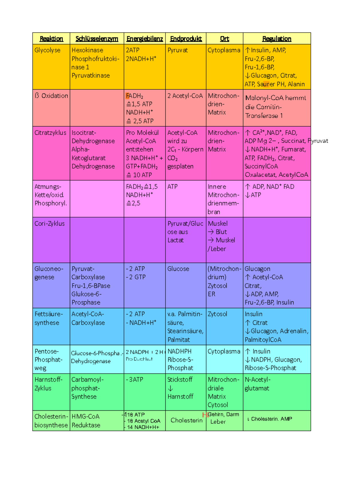 Biochemie Cheat Sheet - Eine Übersicht über die Regulation des ...