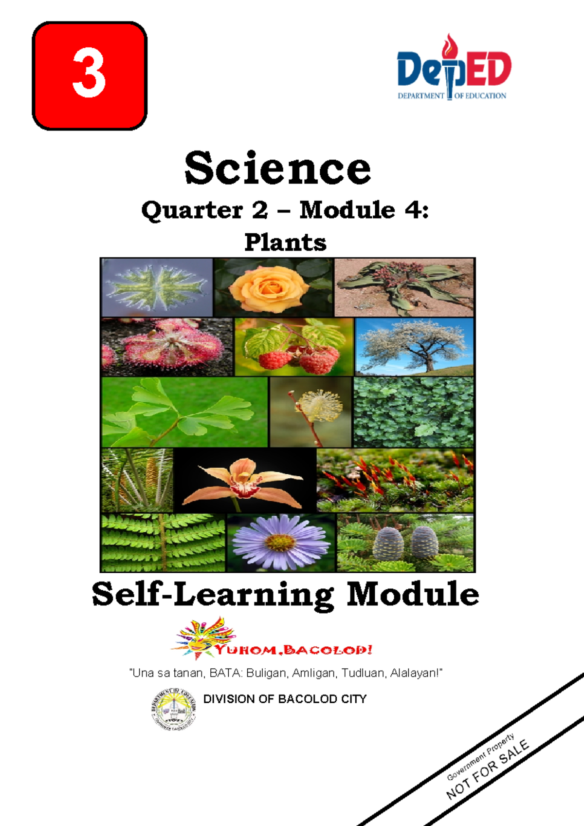 Toaz - Self Learning Modules - Science Quarter 2 – Module 4: Plants ...