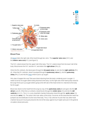 Biology EXAM Outline Guide for content need to know - Hannah Weller AIU ...