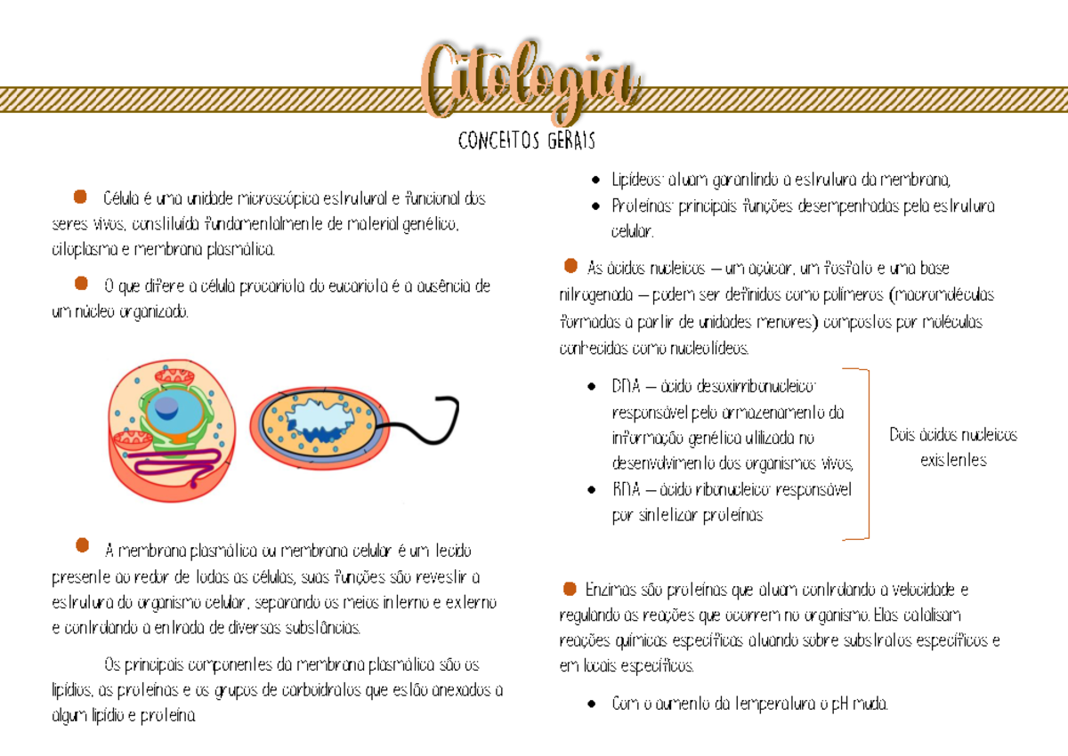 Citologia - conceitos gerais - Citologia Célula é uma unidade ...