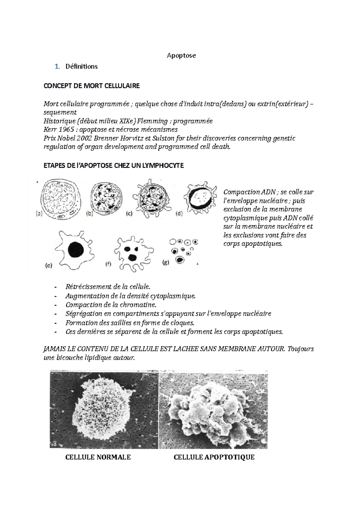 Apoptose - Apoptose Déiniions CONCEPT DE MORT CELLULAIRE Mort ...