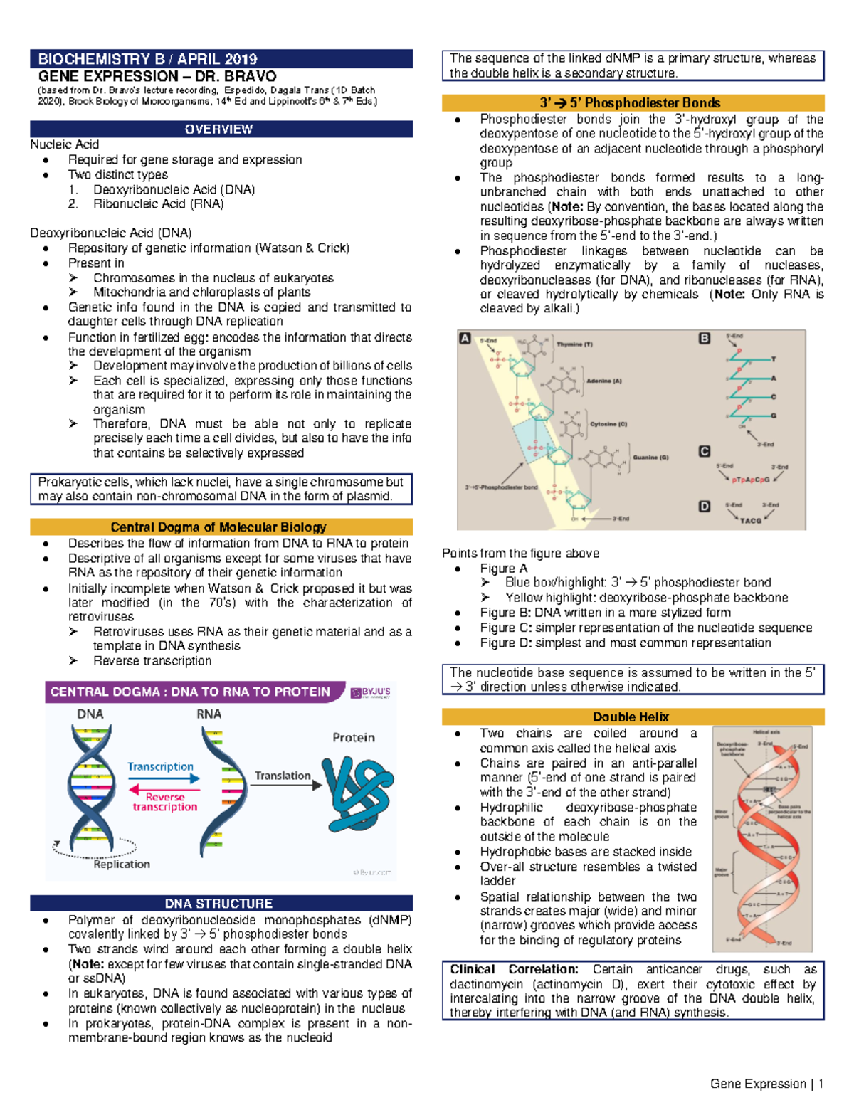 Biochem B 3.2 Gene Expression - Dr. Bravo (Sumilang & Timbol) (not yet ...