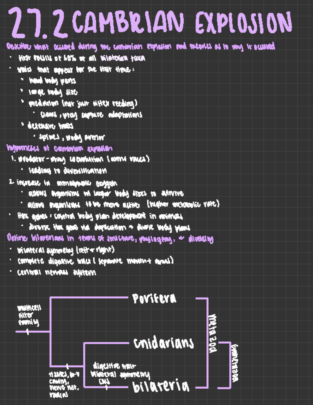 LIFE121 27.2 notes - 27 CAMBRIAN Describe what occurred traits body ...