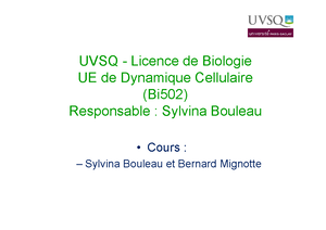 Le cytosquelette - Ce qu'il faut retenir (composition et rôles) - Le ...