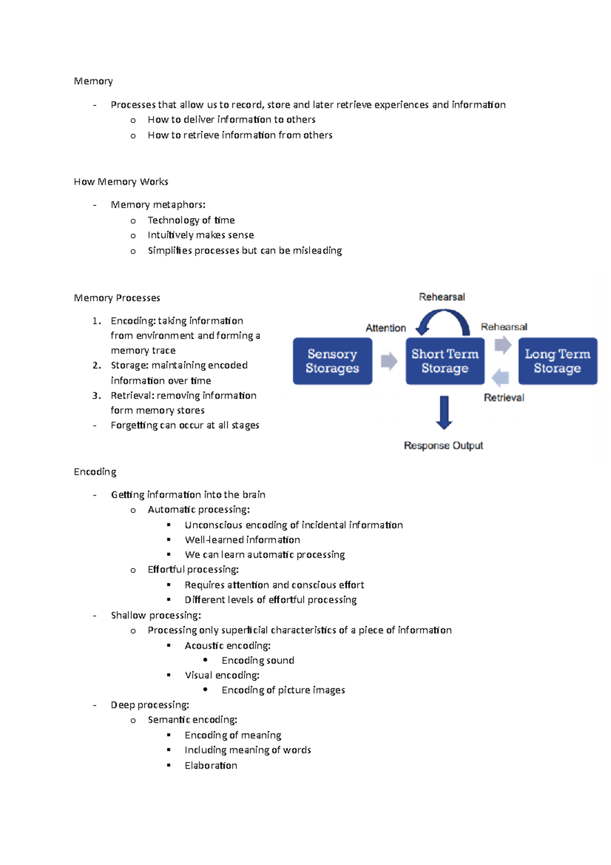 Memory 1 Lecture Notes Na Memory Processes That Allow Us To Record Store And Later
