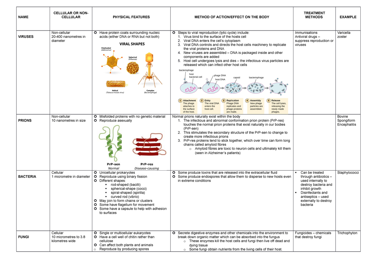 Identifying Pathogens Table VCE Biology - NAME CELLULAR OR NON ...