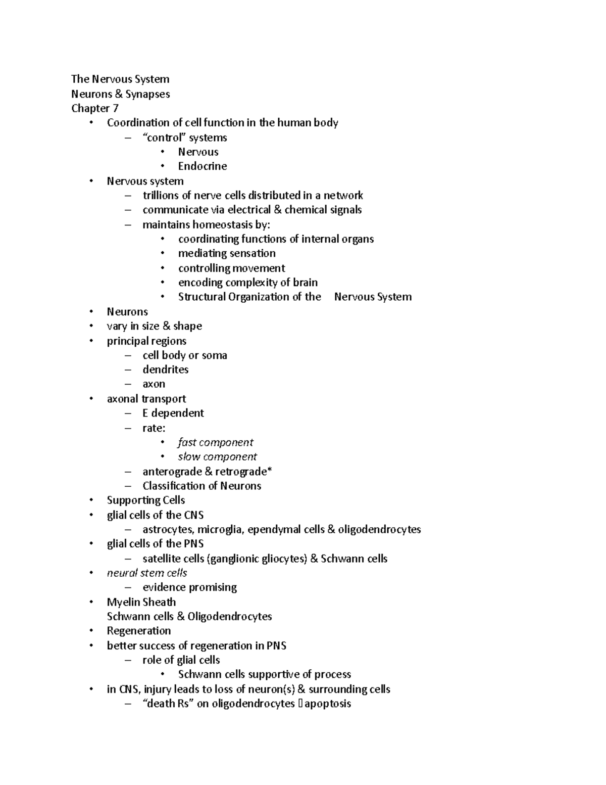 Physiology CHAP 7 Nervous System notes - The Nervous System Neurons ...