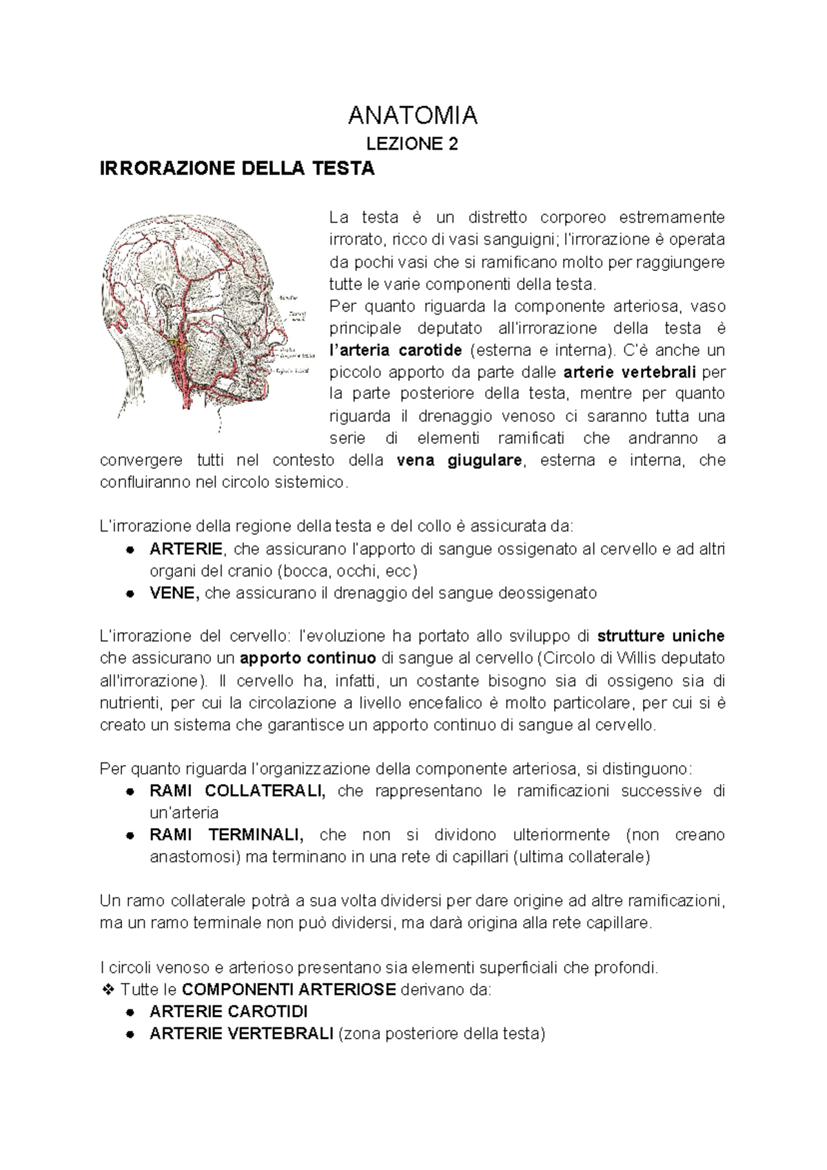 Anatomia 2 - Appunti di lezione 2 - ANATOMIA LEZIONE 2 IRRORAZIONE ...