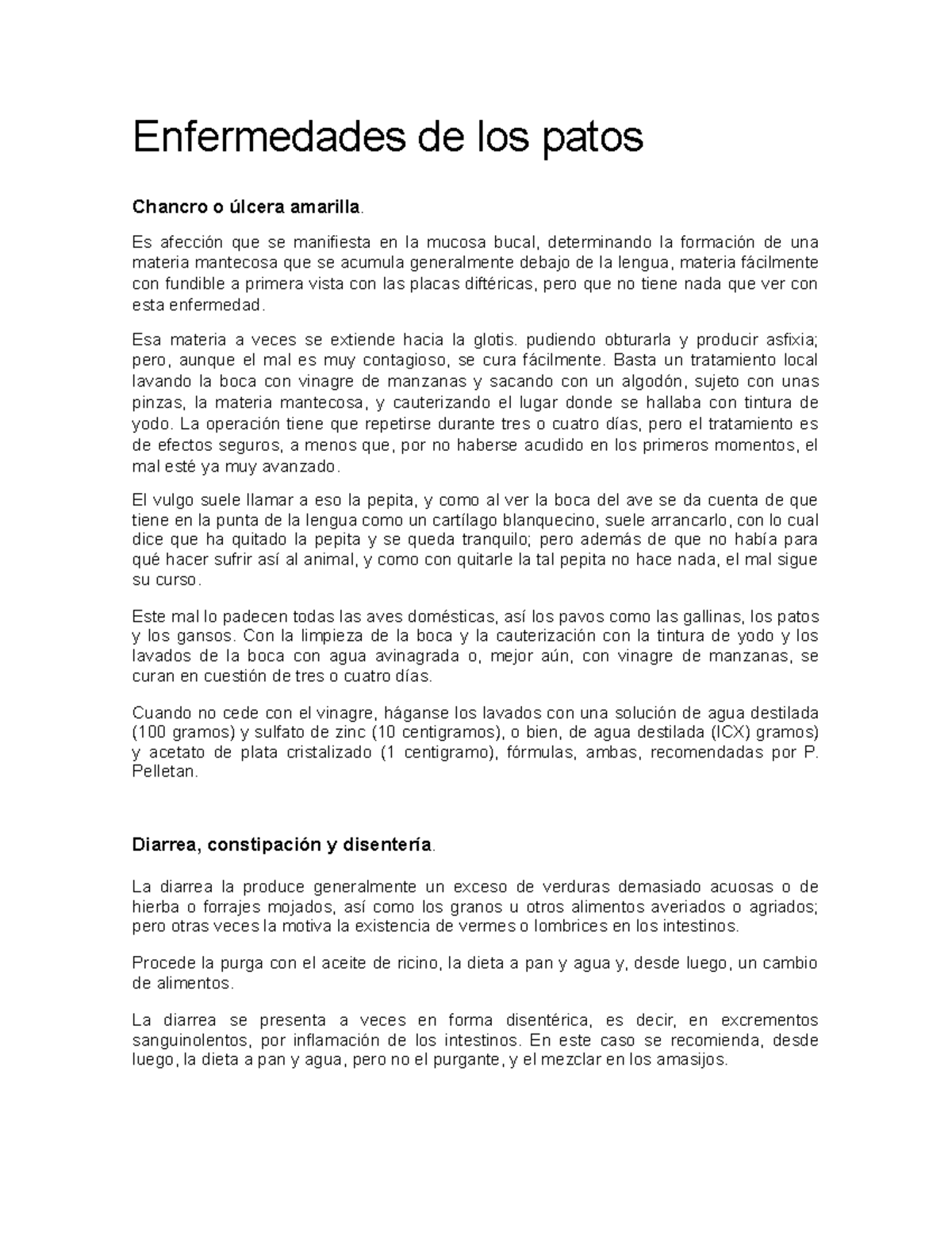 Enfermedades de los patos - Enfermedades de los patos Chancro o úlcera ...