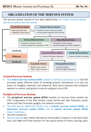 Human Physiology. Special Senses. Notes. Pdf - Human anatomy and ...