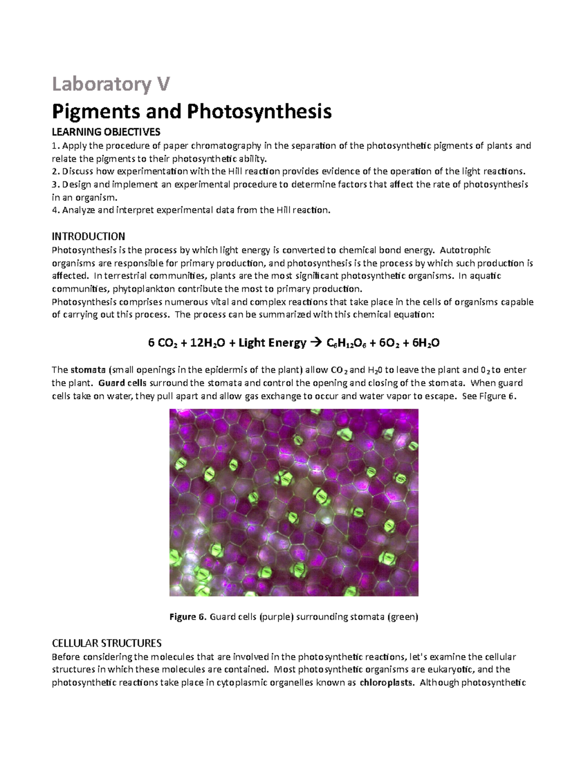 BIO 181 Lab 5 Summer 2020 - Laboratory V Pigments and Photosynthesis ...