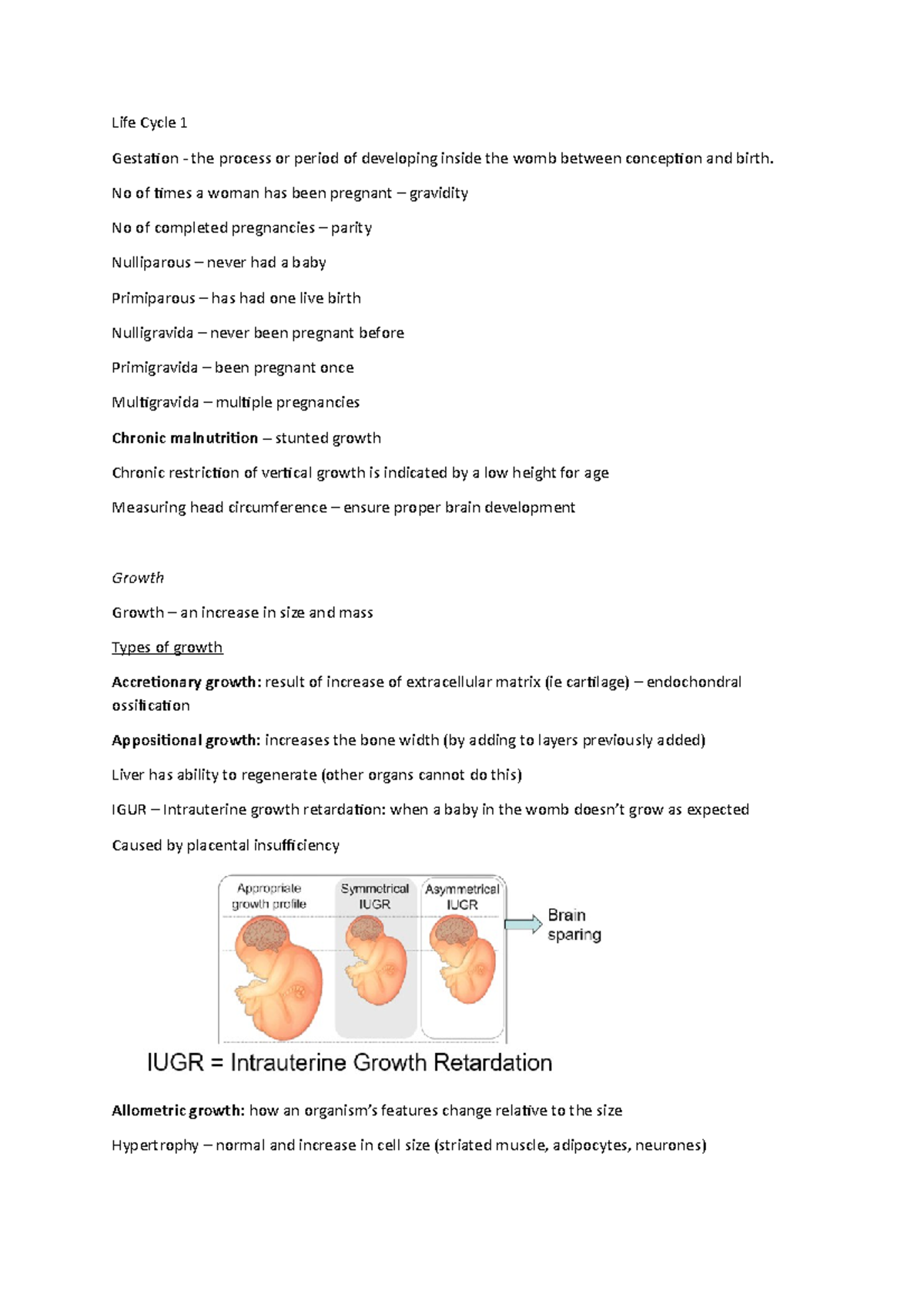 Life Cycle 1 - my own lec notes - Life Cycle 1 Gestation - the process ...