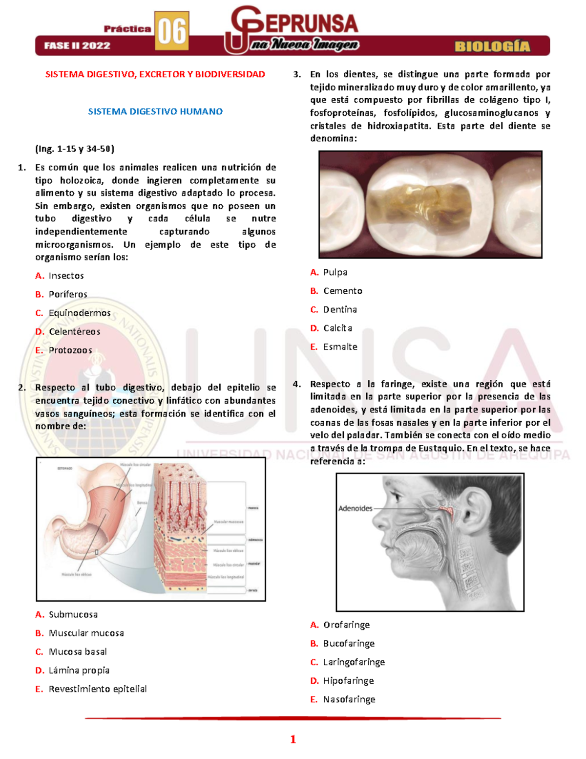 Biologia F6 - separatas - SISTEMA DIGESTIVO, EXCRETOR Y BIODIVERSIDAD ...