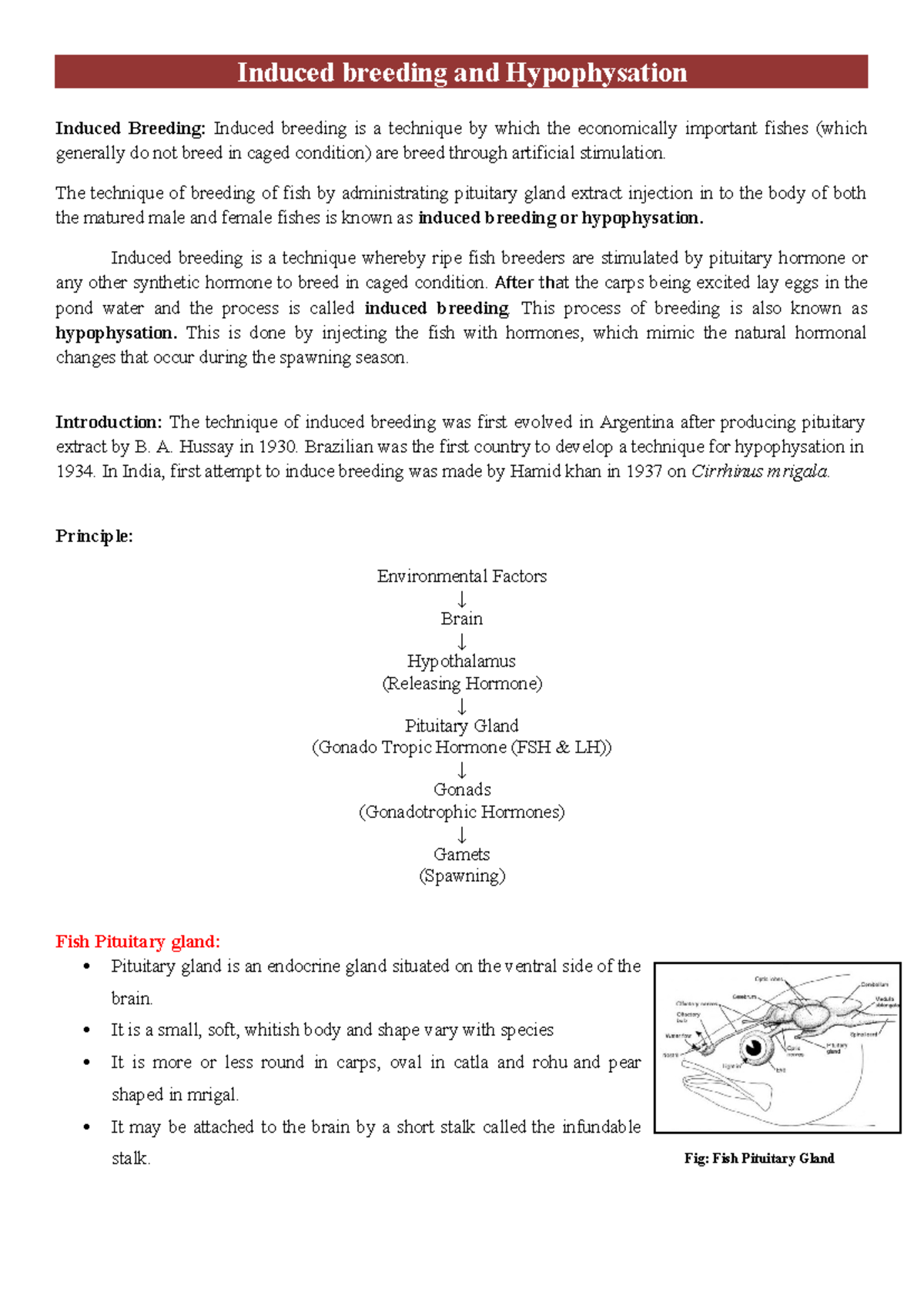 Induced breeding and Hypophysation - Induced breeding and Hypophysation ...