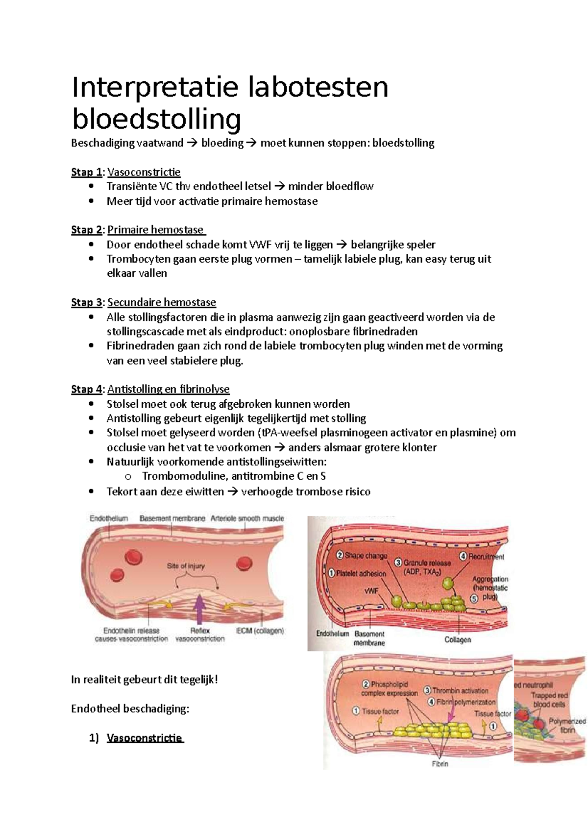 Labotesten - Bloedstolling - Interpretatie labotesten bloedstolling ...