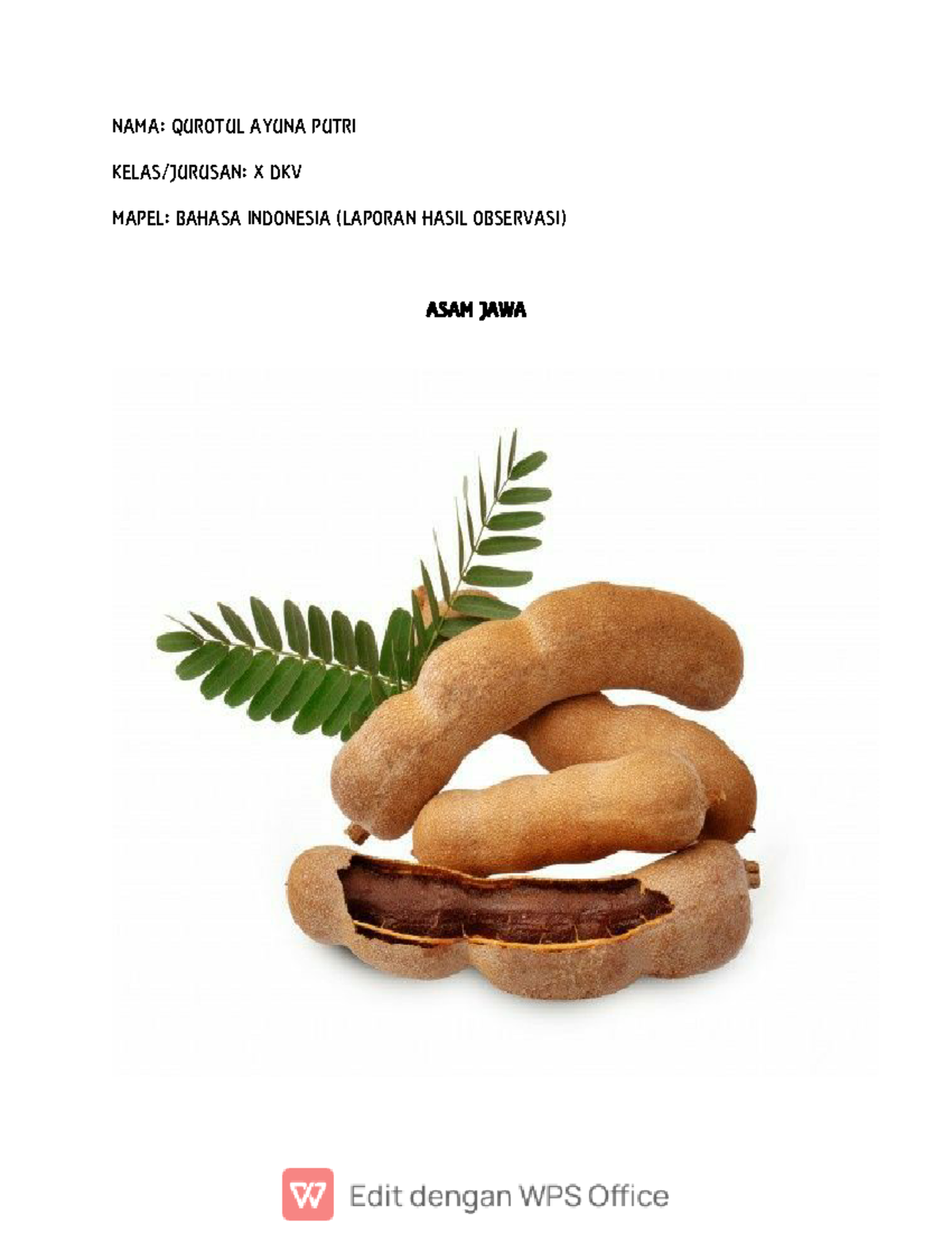 LHO ASAM JAWA - Buat presentasi bahasa indonesia/ipas ya(・∀・) - NAMA: QUROTUL AYUNA PUTRI - Studocu