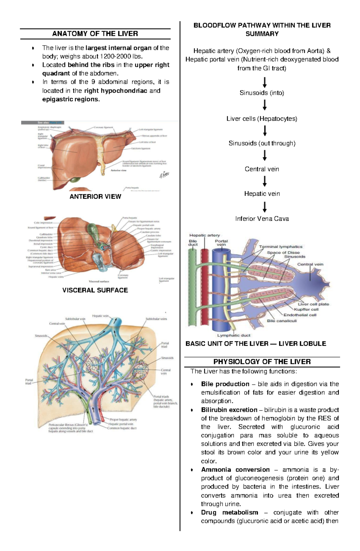 LIVER FAILURE NOTES - SABBI, ASSAHID KHAN J. ANATOMY OF THE LIVER The ...