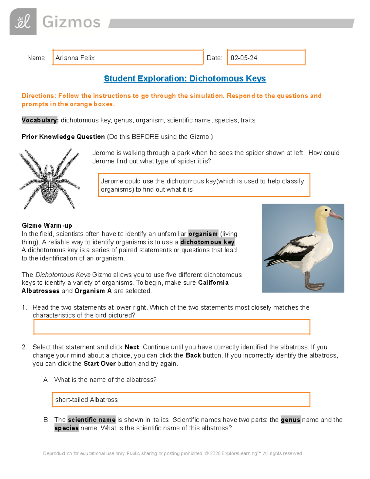 Copy of Dichotomous Keys SE - Name: Arianna Felix Date: 02-05- Student ...