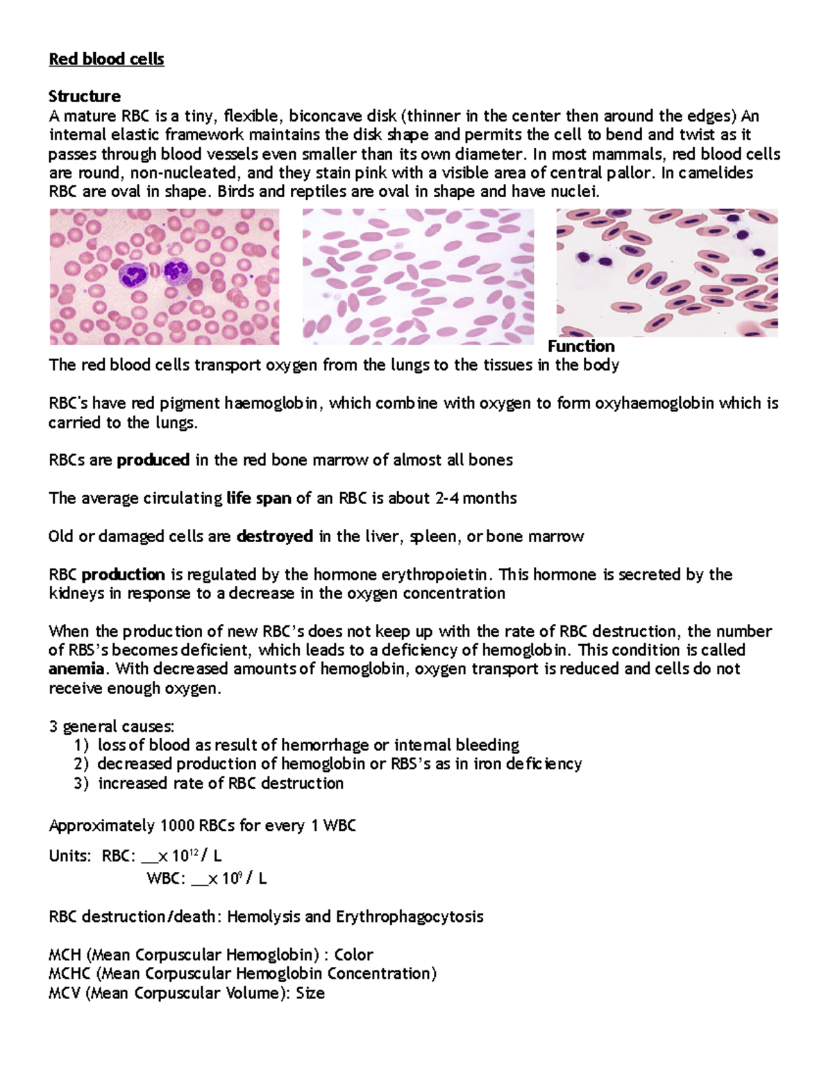 Cytology Review - Red blood cells Structure A mature RBC is a tiny ...