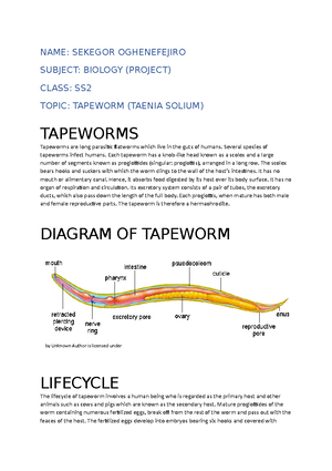 CSC 221 Definition. History AND Development - C++ program, advantages and disadvantages of C++ ...