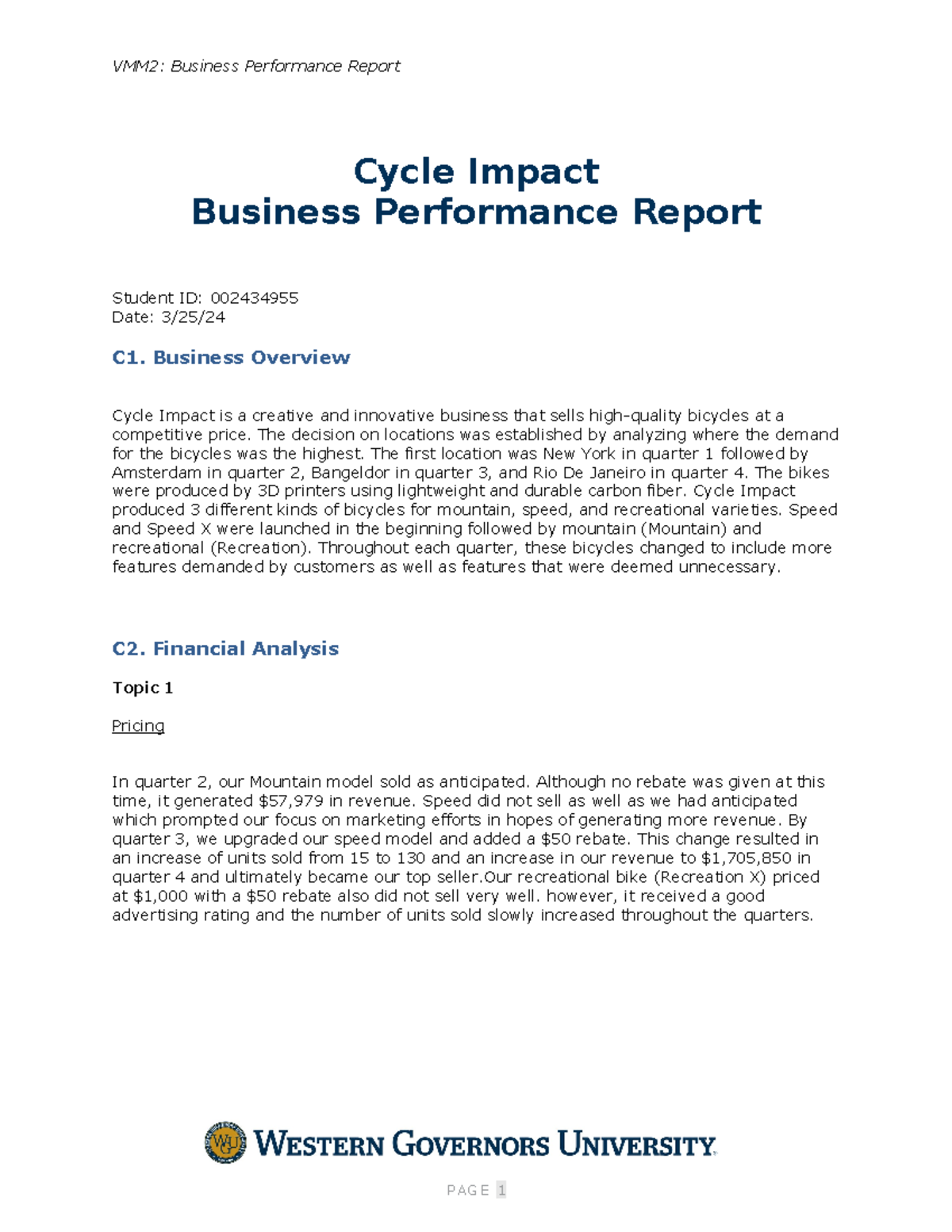 Business Performance Report Template - VMM2: Business Performance ...