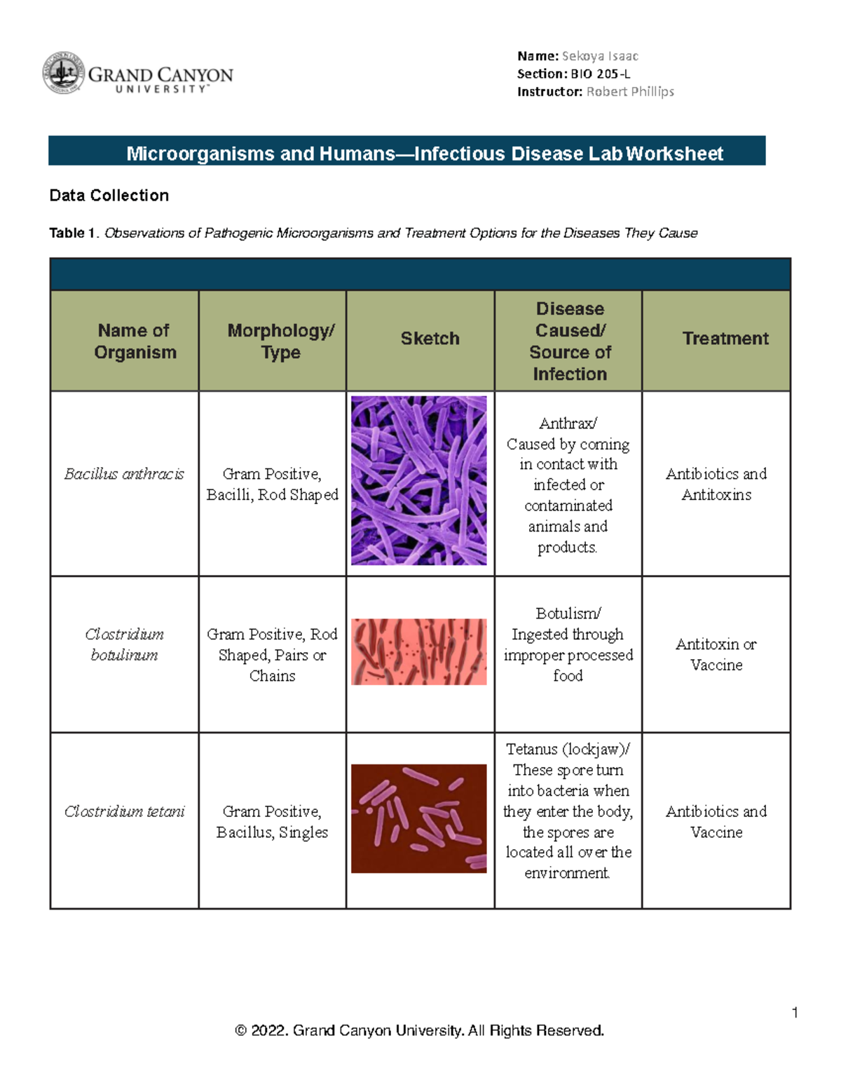 Microorganisms Human Infectious Diseases - Sec(on: BIO 205-L Instructor ...