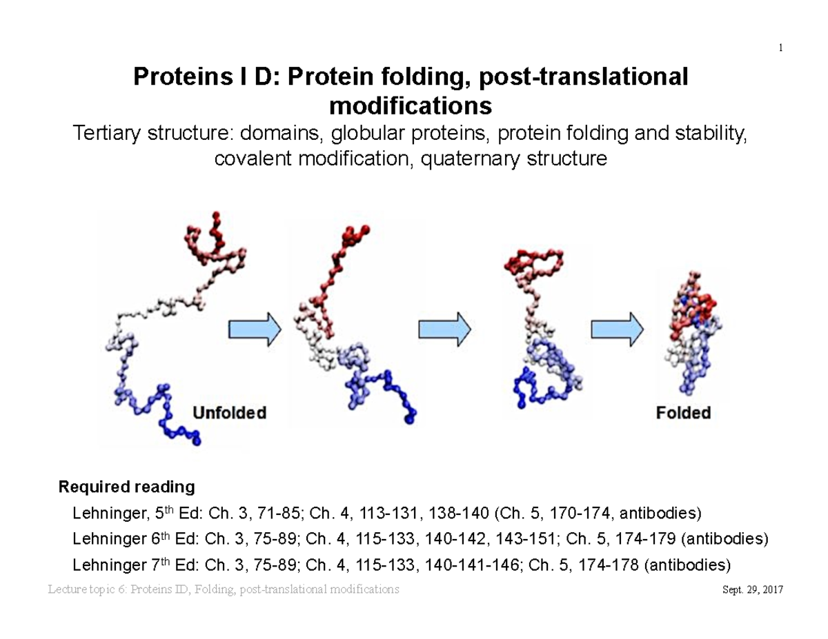 6-proteins-ID - Notes - Proteins I D: Protein folding, post ...