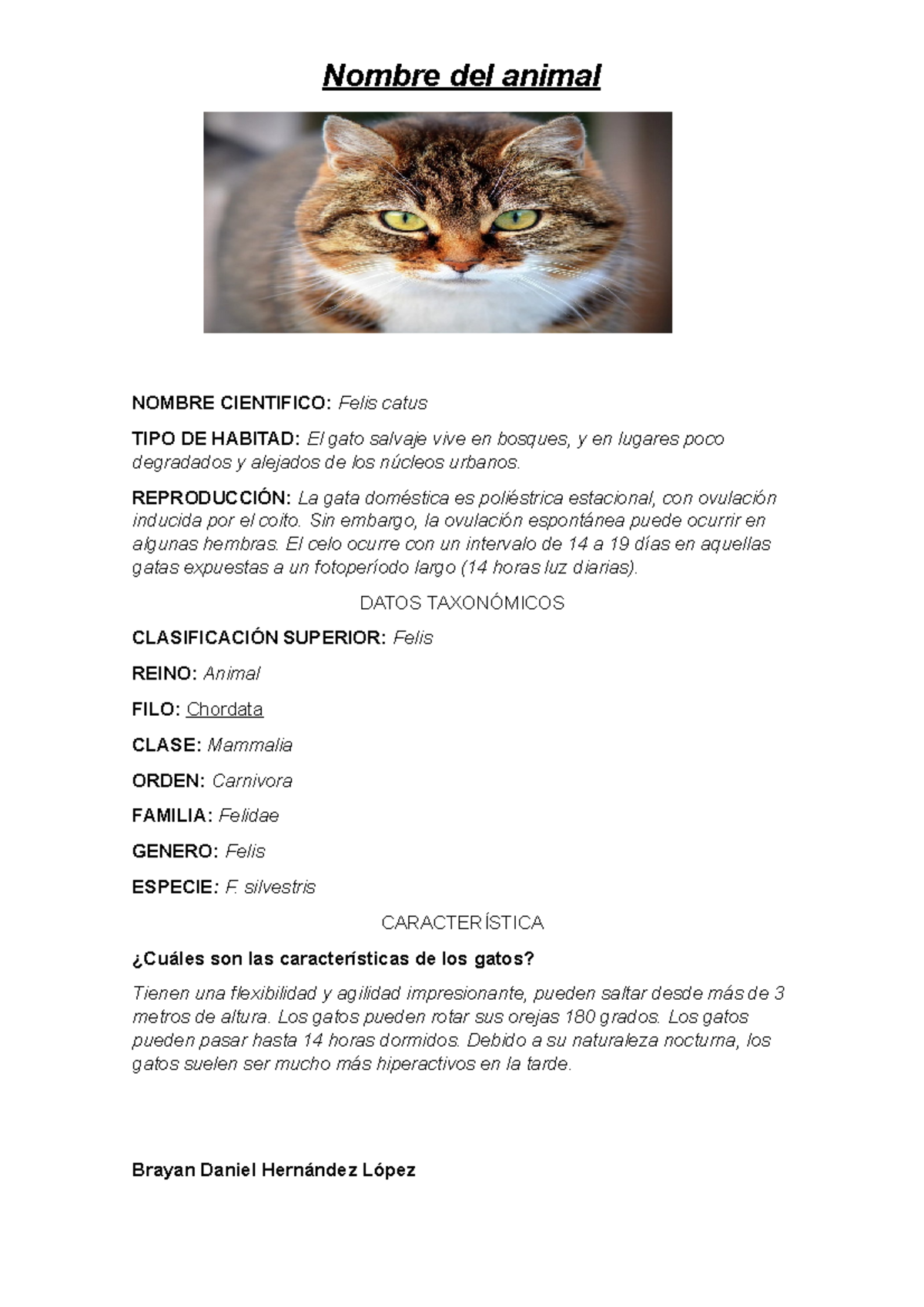 Informe del animal DEL GATO - Nombre del animal NOMBRE CIENTIFICO ...