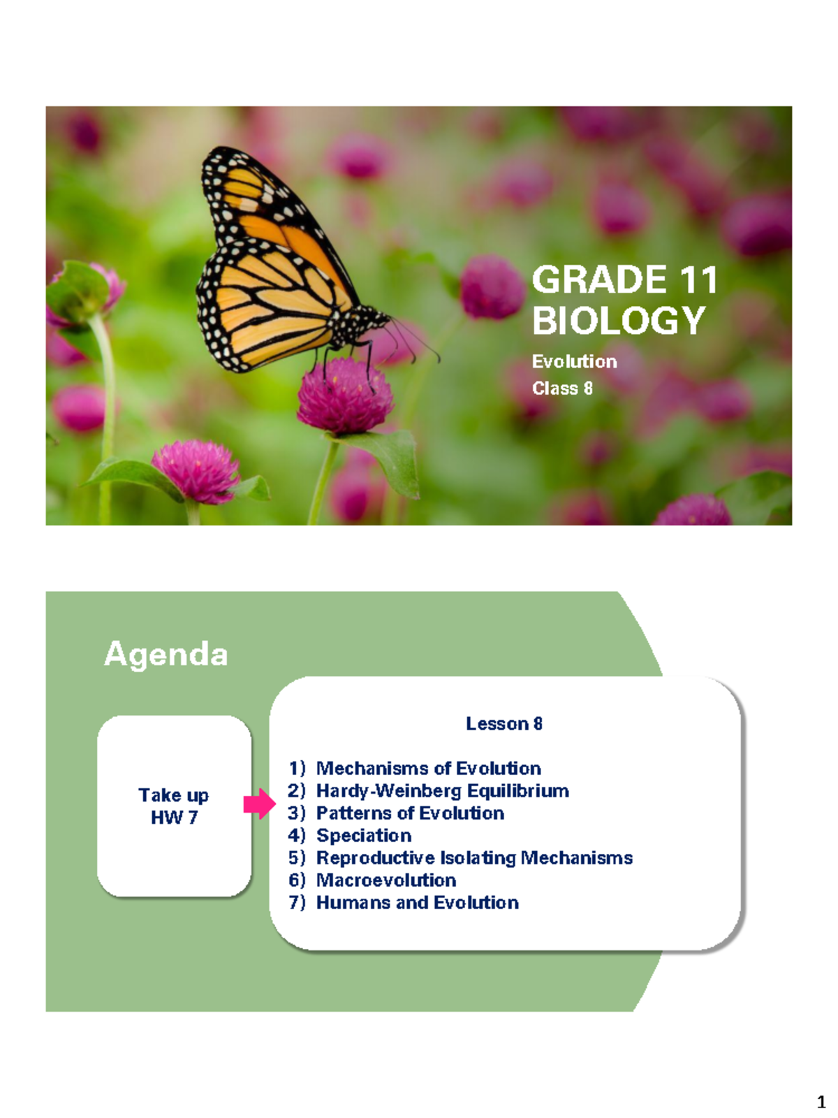 Class 08 Biology G11 Notes Jul 24-28 - GRADE 11 BIOLOGY Evolution Class ...