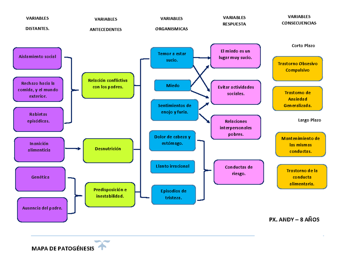 MAPA DE Patogénesis ANDY - MAPA DE PATOGÉNESIS VARIABLES DISTANTES ...