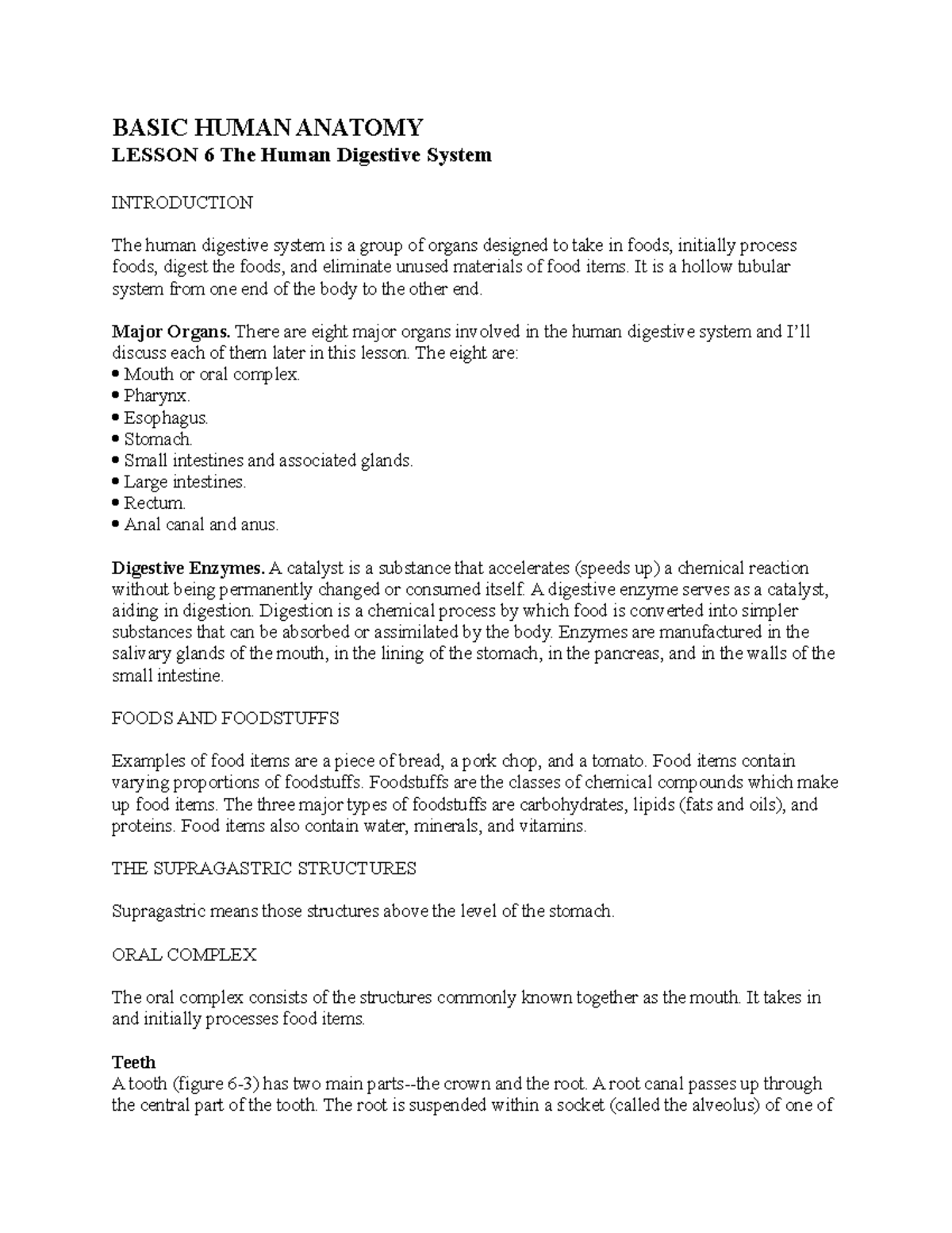 Digestive System - Lecture notes 6 - BASIC HUMAN ANATOMY LESSON 6 The ...