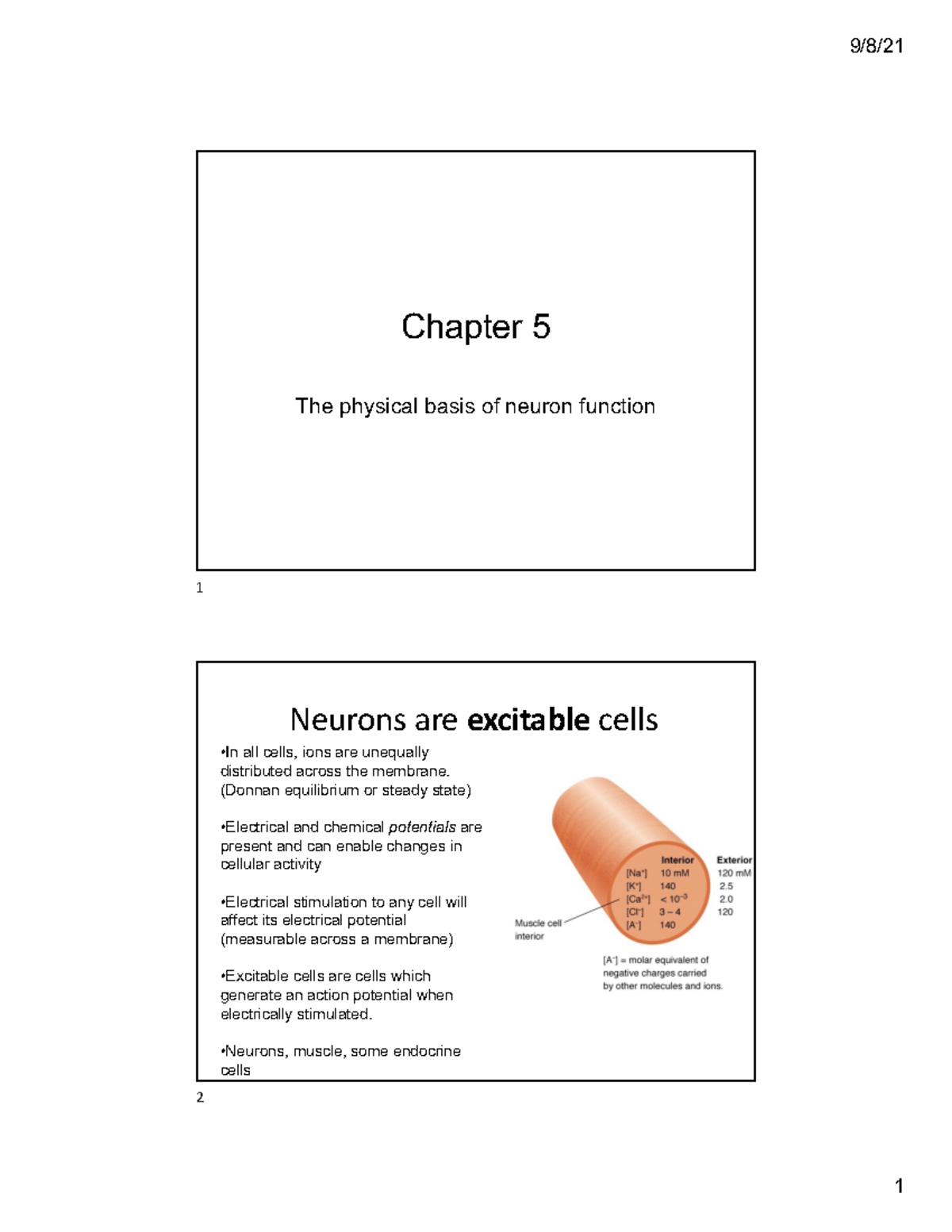 Bio370Ch5 - n/a - Chapter 5 The physical basis of neuron function 1 ...