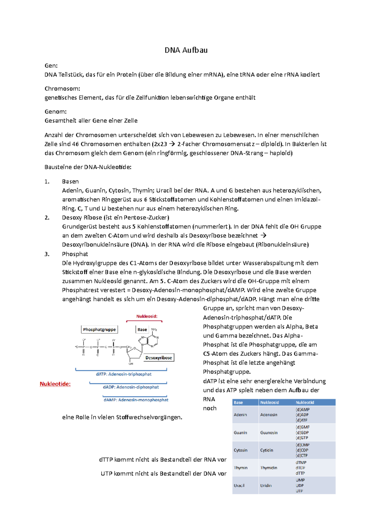 Zusammenfassung Vorlesung 3; Medizinische Biologie - DNA Aufbau Gen ...