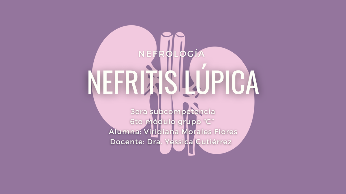 Nefritis Lupica - LES ES UNA ENFERMEDAD INFLAMATORIA CRÓNICA ...